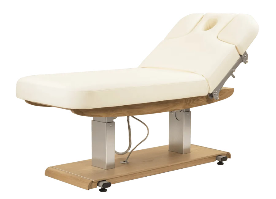 Tejas Electric Spa Massage Table | Premium Luxury Adjustable Spa Bed ...